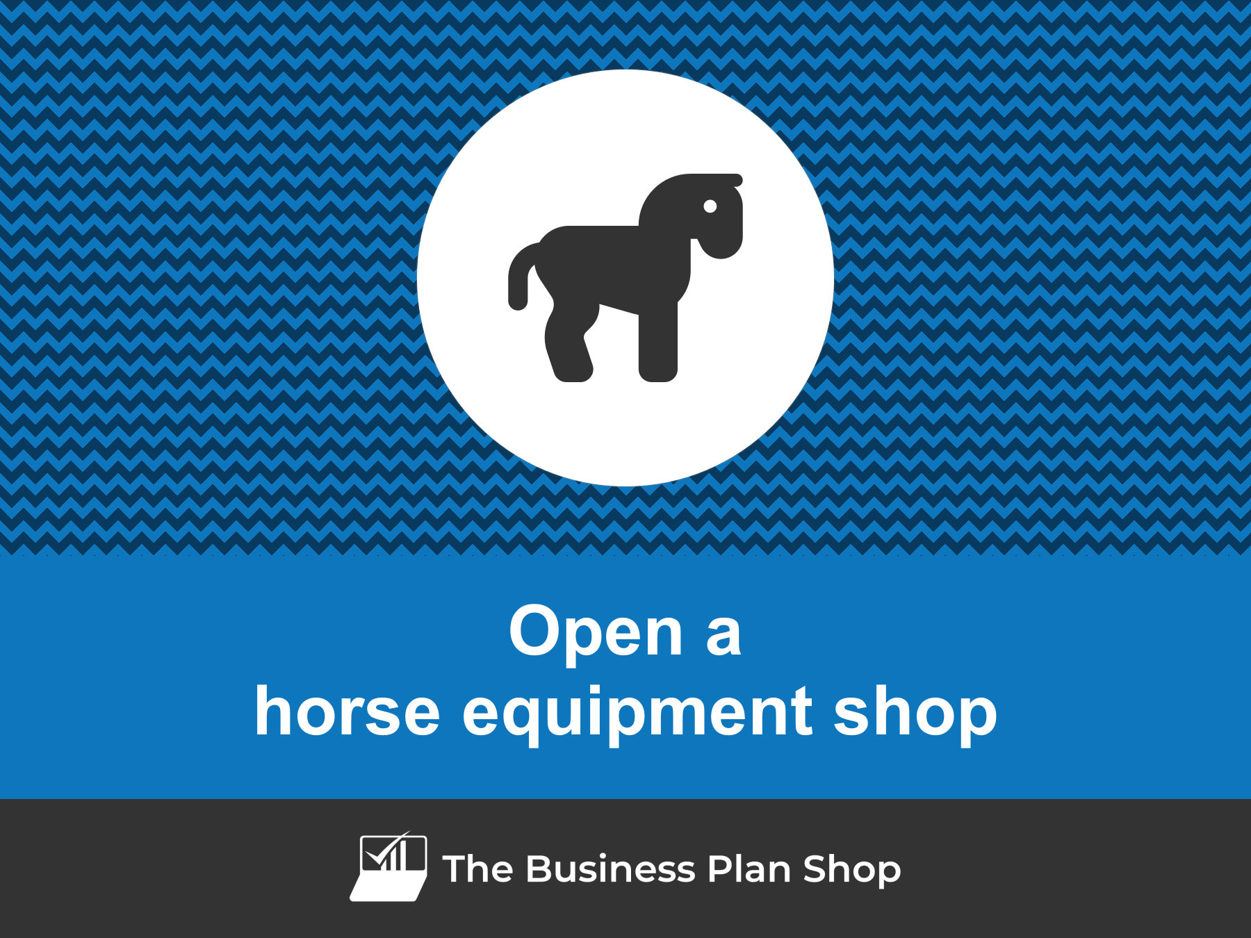 How to open a profitable horse equipment shop?