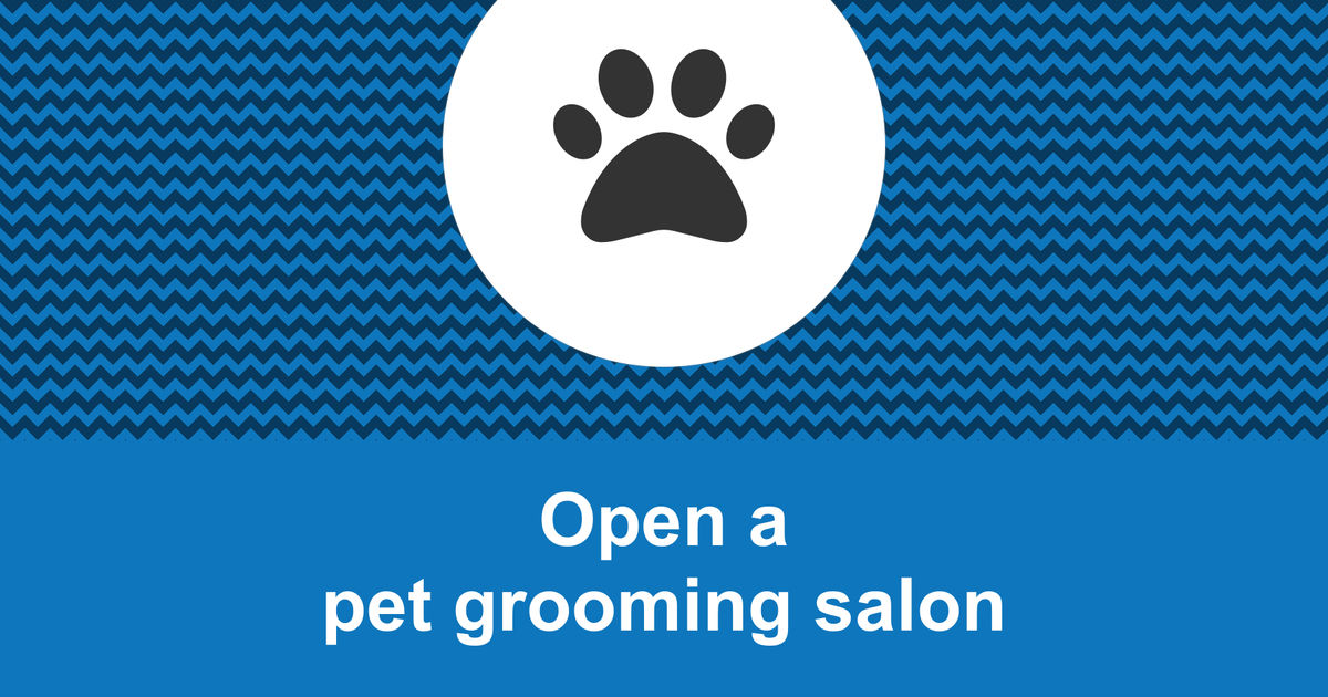 How to open a profitable pet grooming salon?