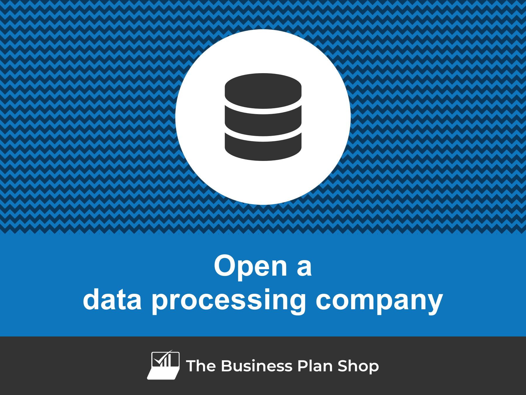 How to open a profitable data processing company?