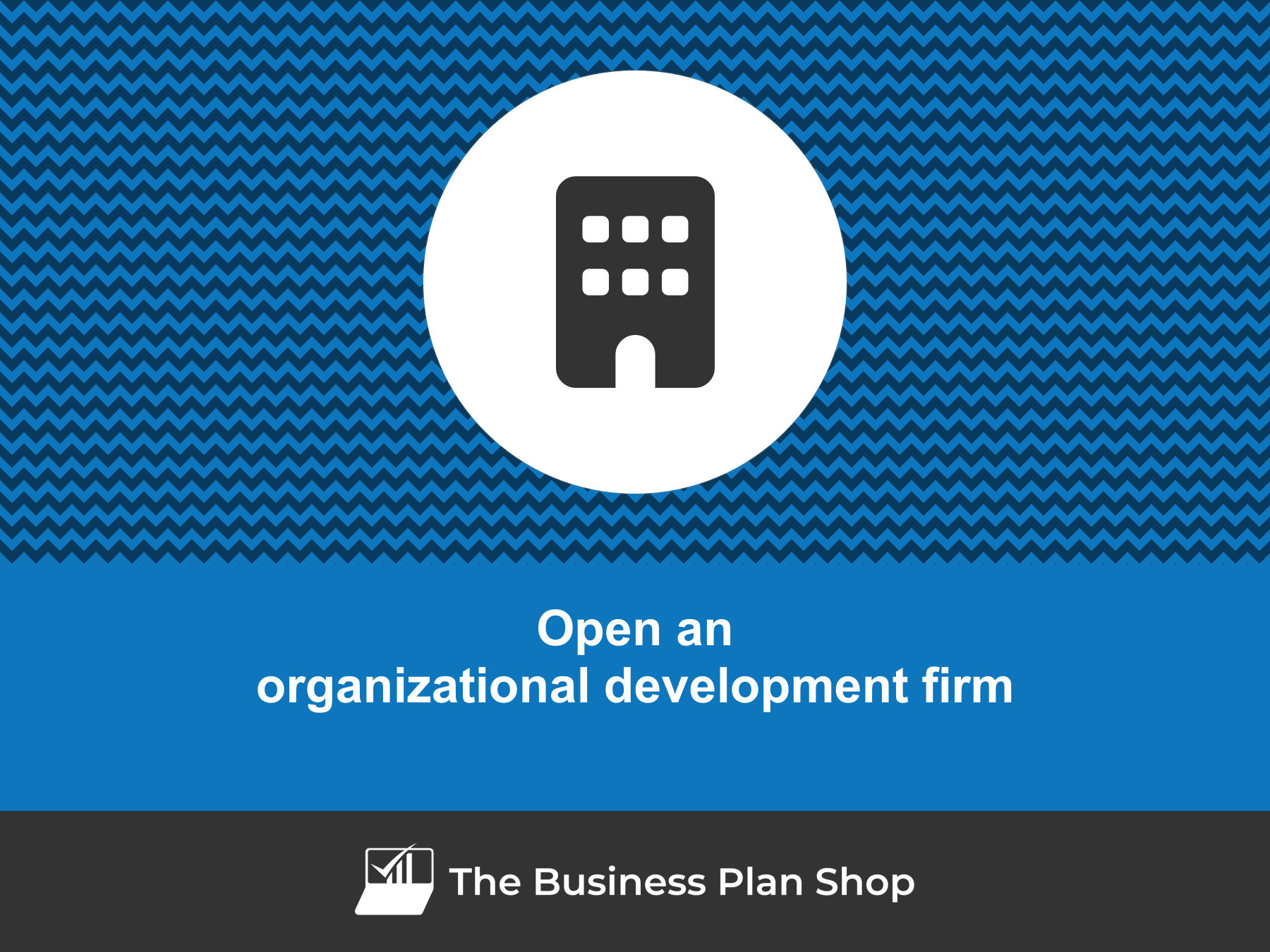 How to open a profitable organizational development firm?