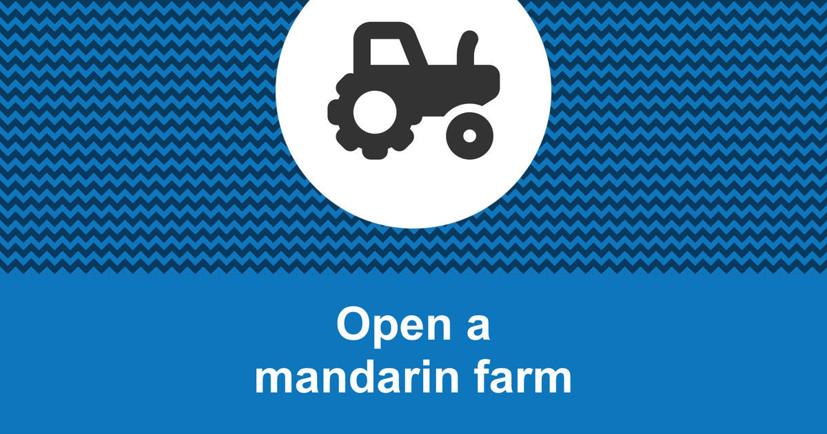 How to open a profitable mandarin farm?