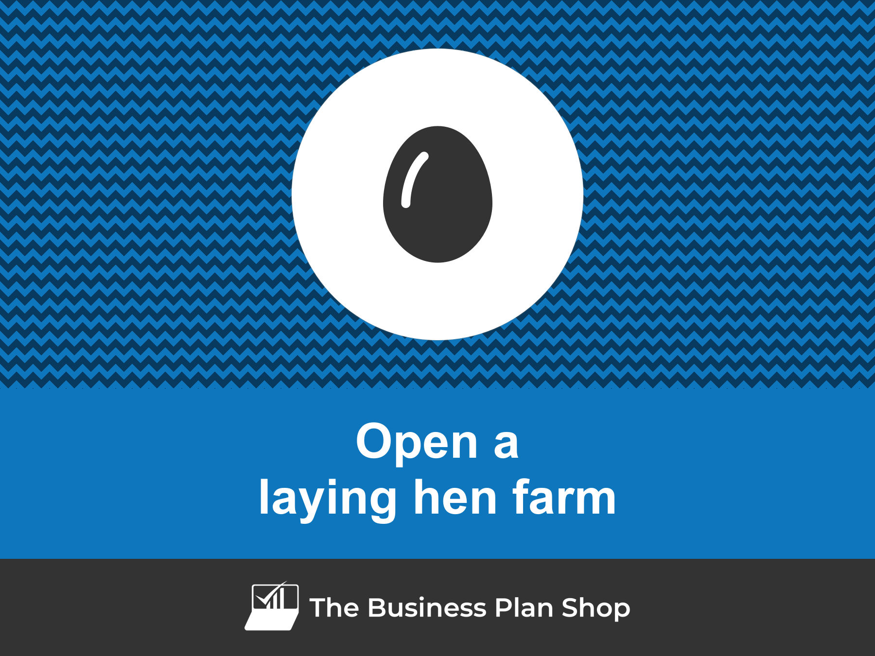 How to open a profitable laying hen farm?