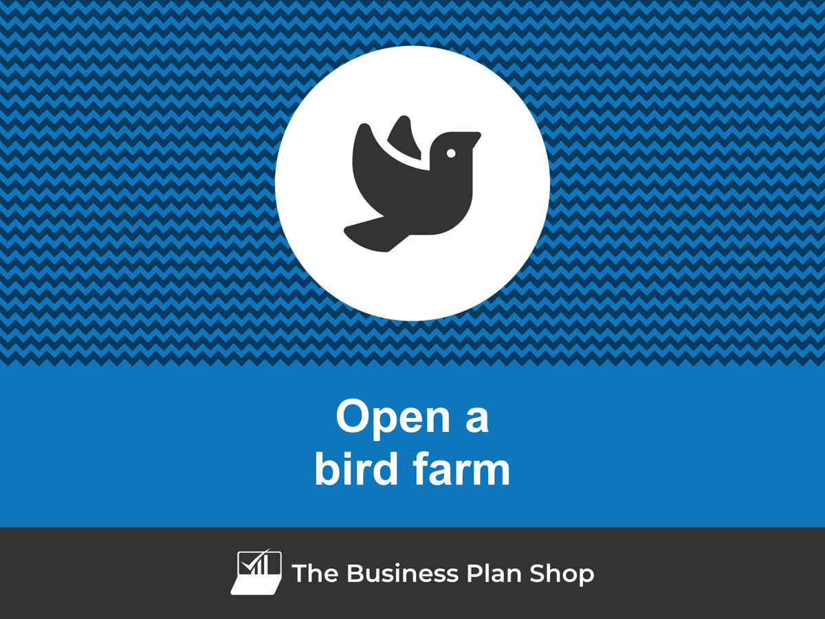 How to open a profitable bird farm?