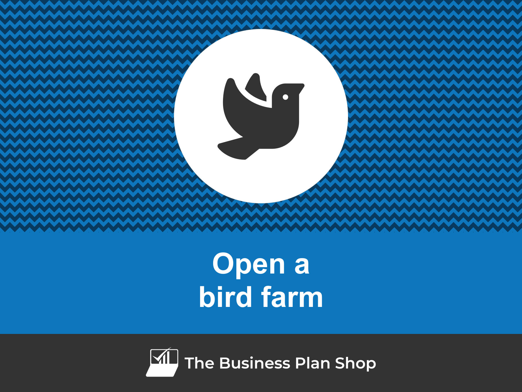 How to open a profitable bird farm?