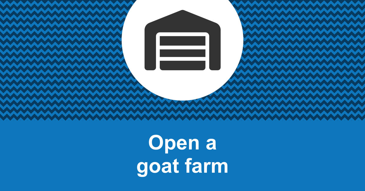How to open a profitable goat farm?