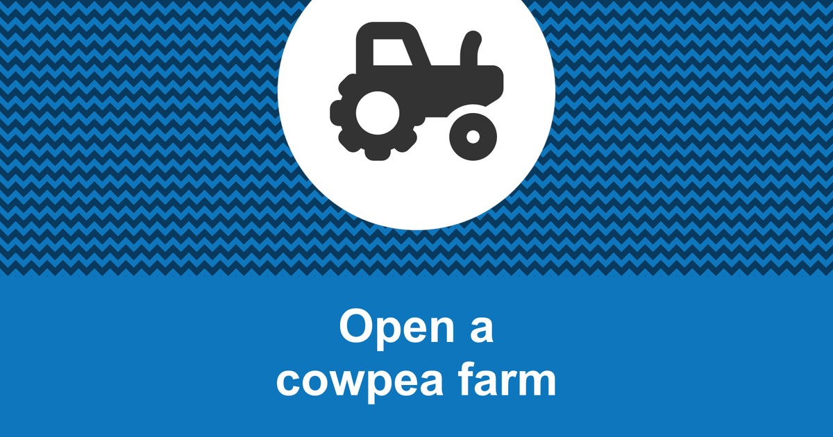 How to open a profitable cowpea farm?