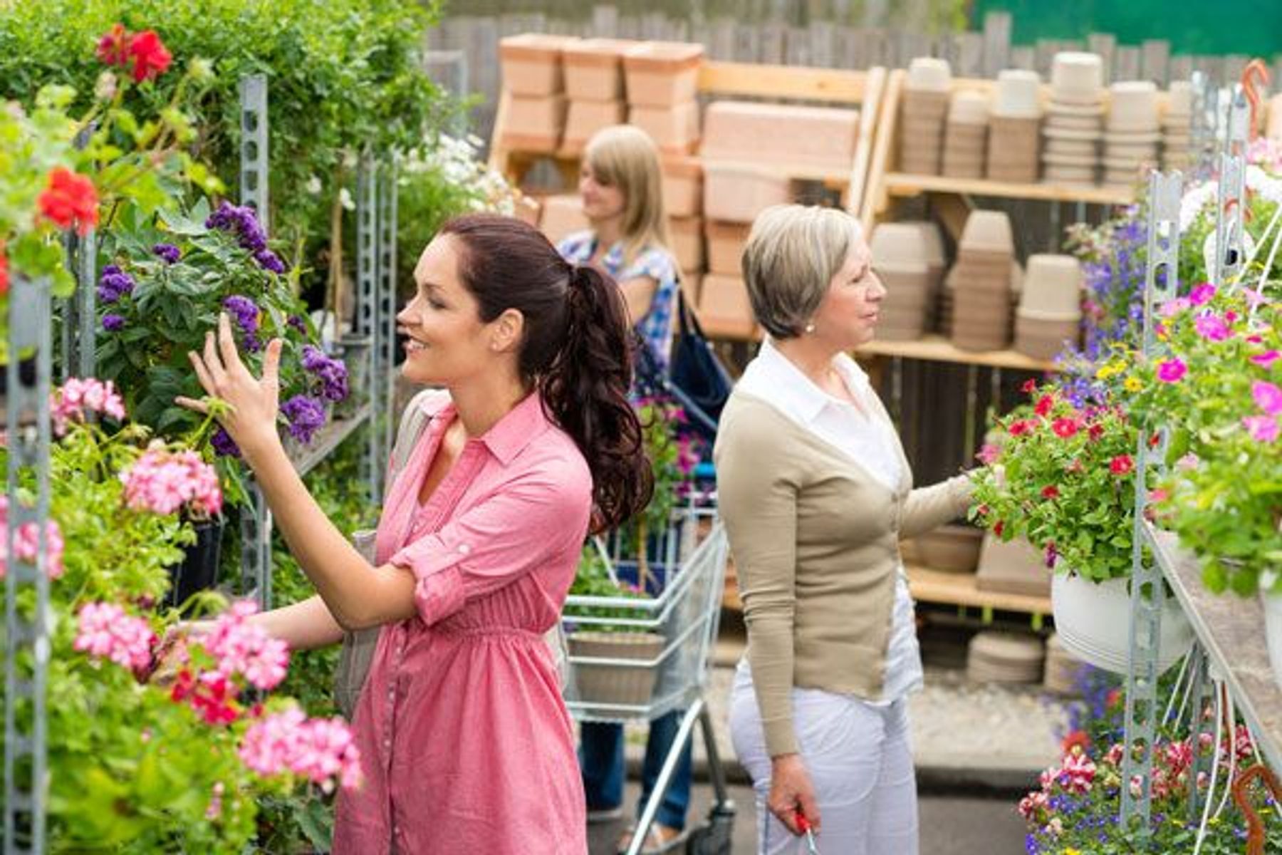 How to open a profitable plant nursery?