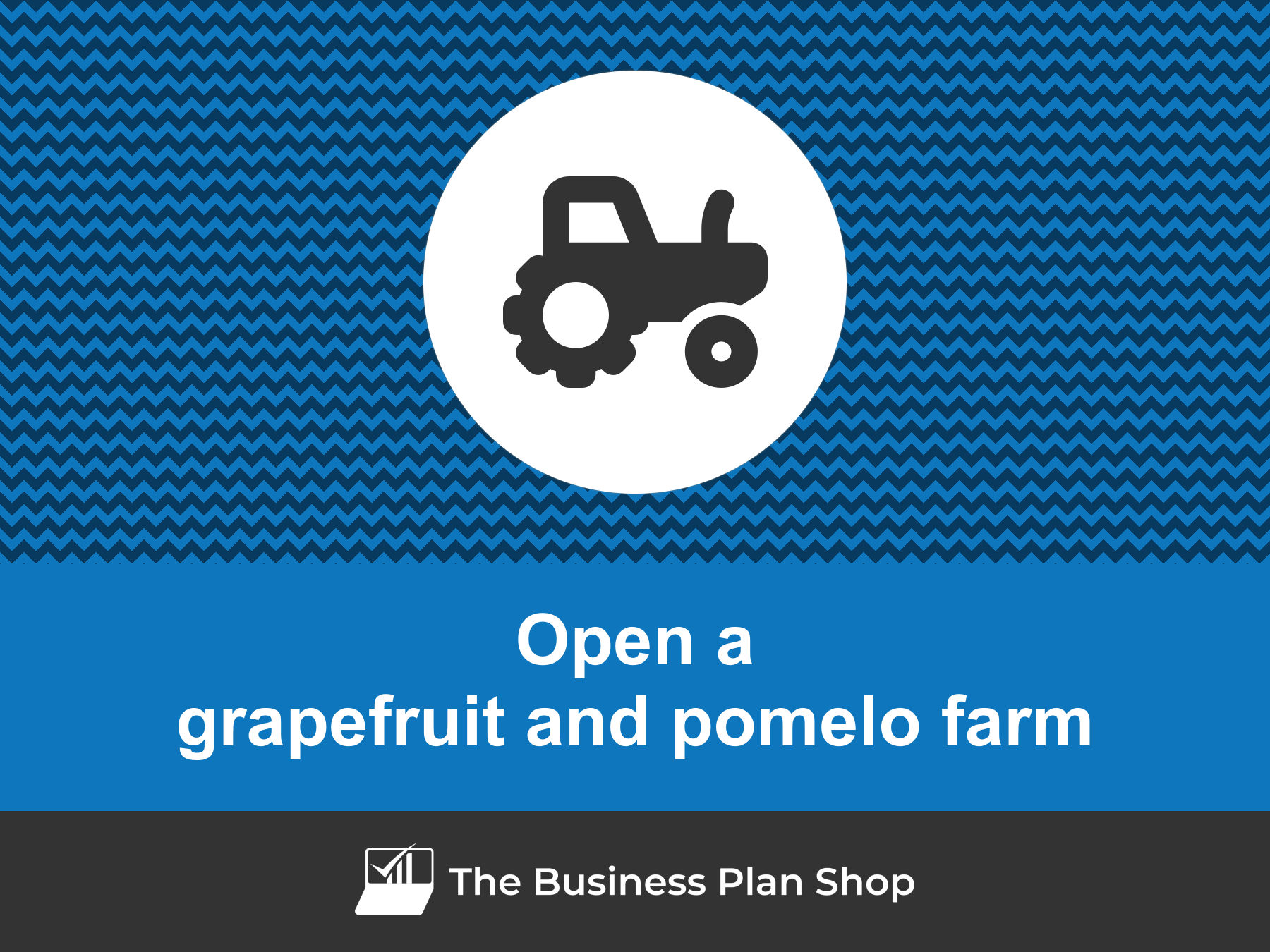 How to open a profitable grapefruit and pomelo farm?