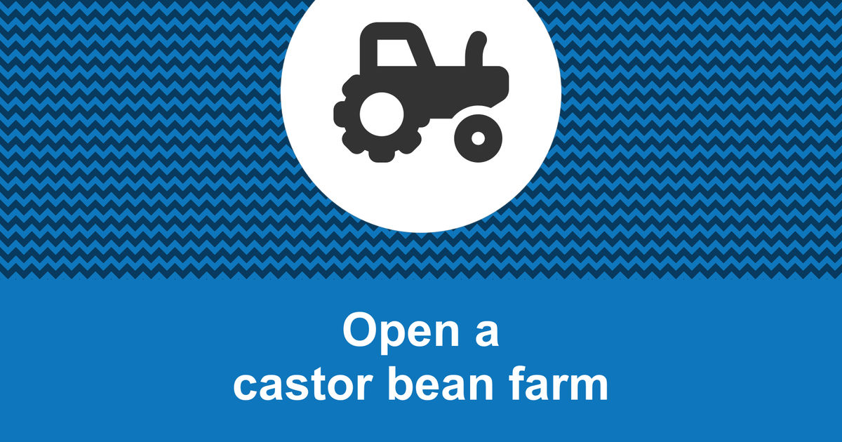 How to open a profitable castor bean farm?