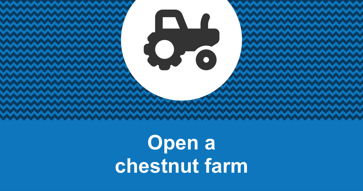How to open a profitable chestnut farm?