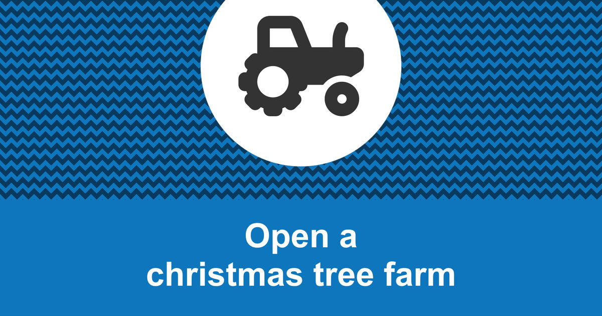 How to open a profitable christmas tree farm?