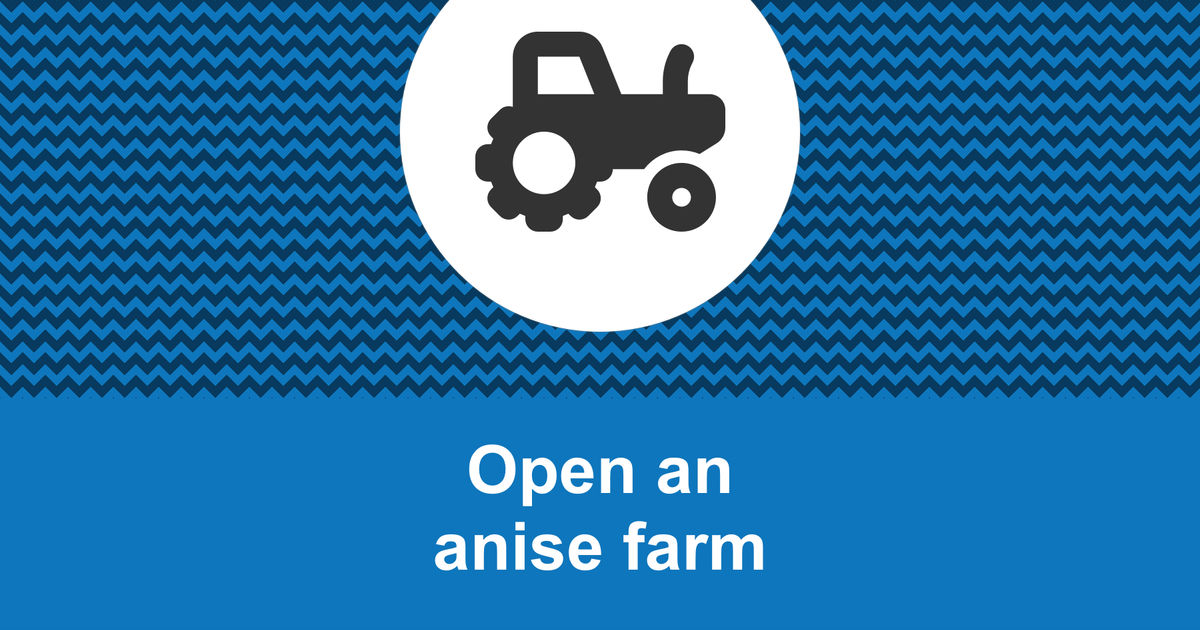 How to open a profitable anise farm?