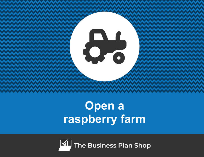 How to write a business plan for a raspberry farm?