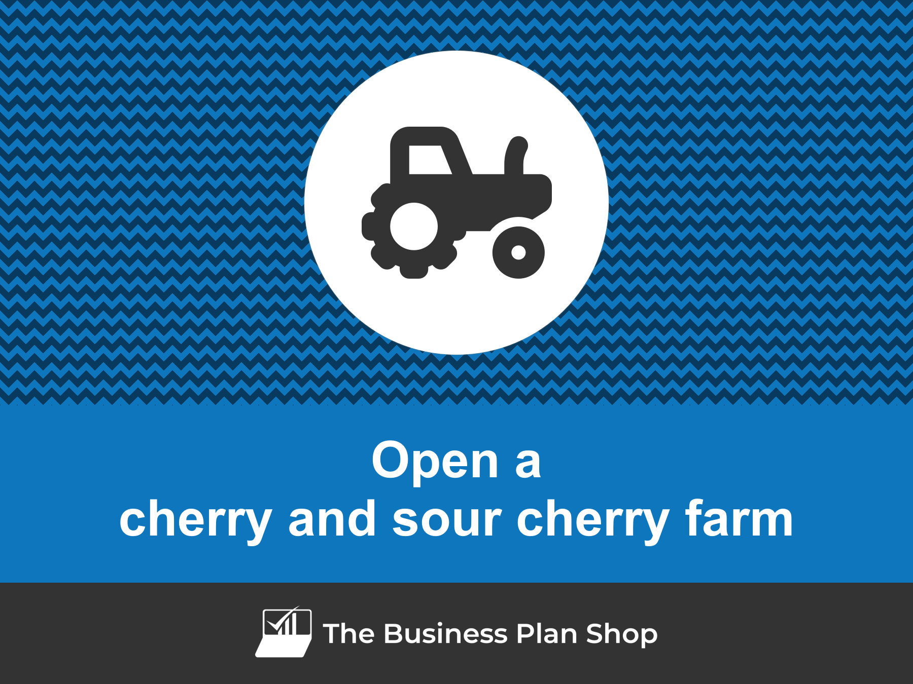 How to open a profitable cherry and sour cherry farm?