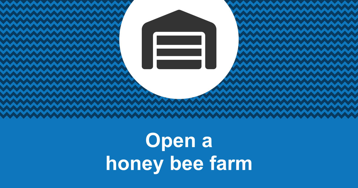 How to open a profitable honey bee farm?