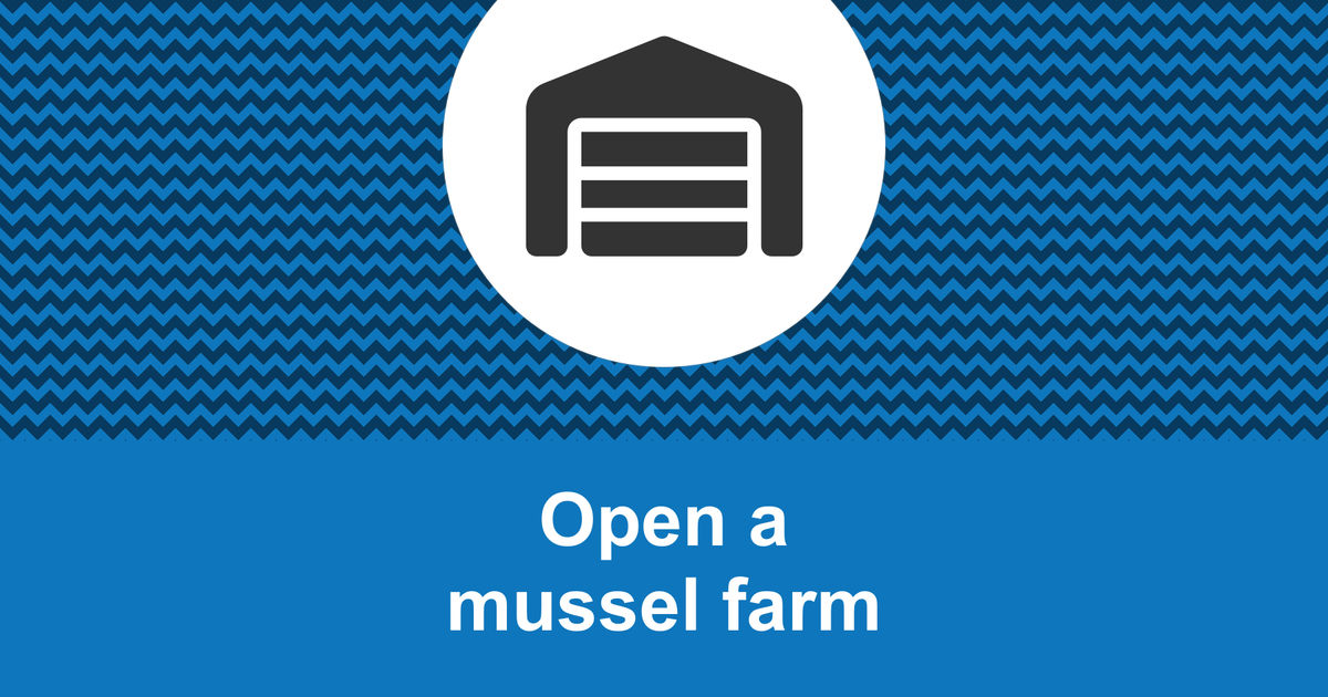 How to open a profitable mussel farm?