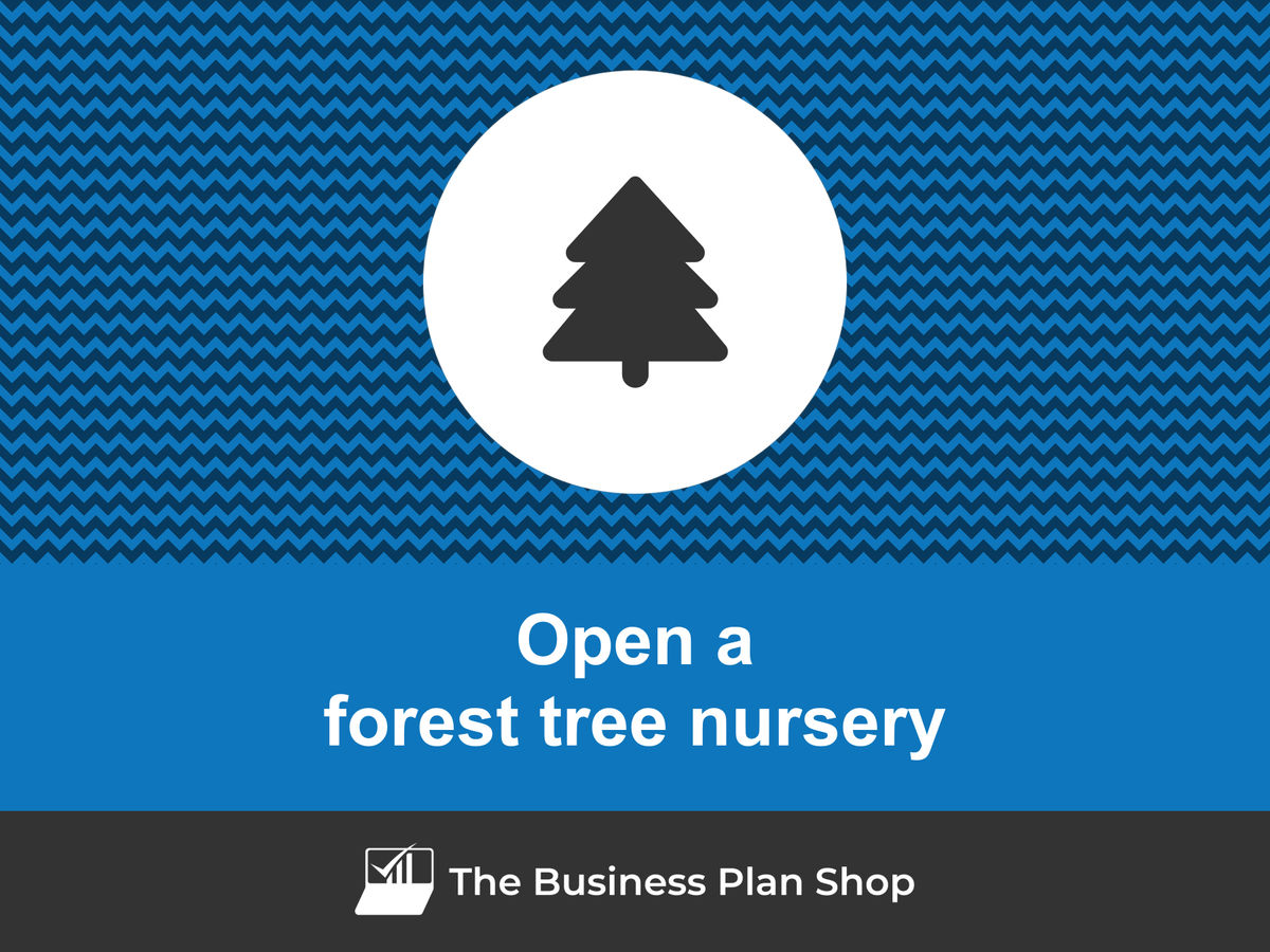 How to open a profitable forest tree nursery?
