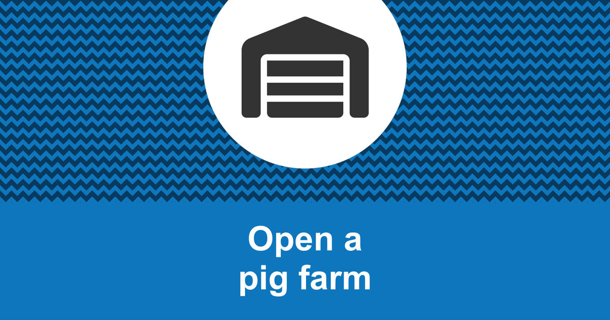 How to open a profitable pig farm?