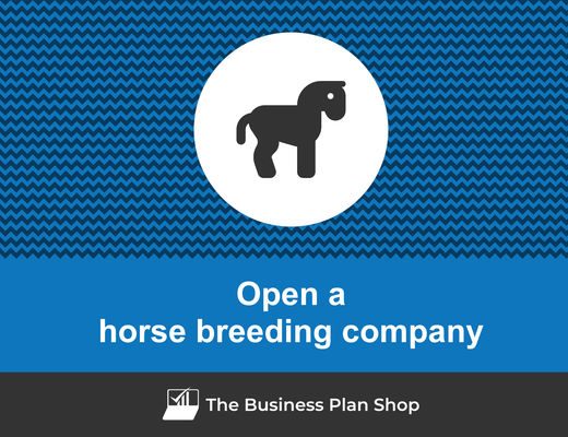 How to write a business plan for a horse breeding company?