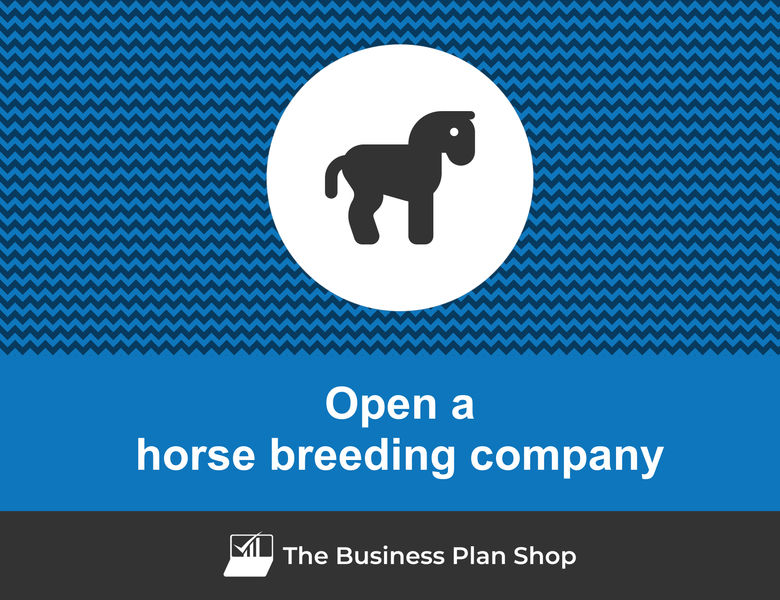 How to write a business plan for a horse breeding company?