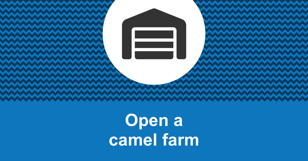 How to open a profitable camel farm?
