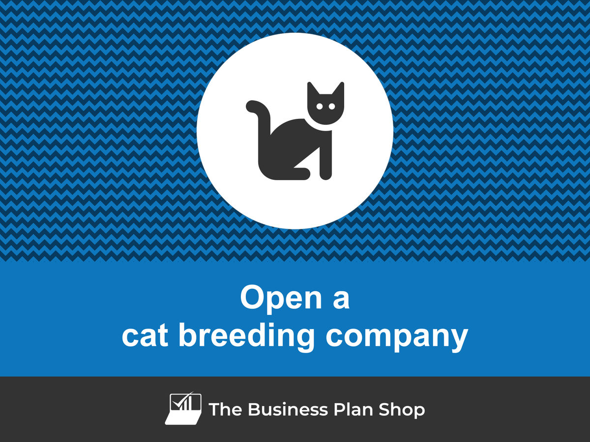 How to open a profitable cat breeding company?