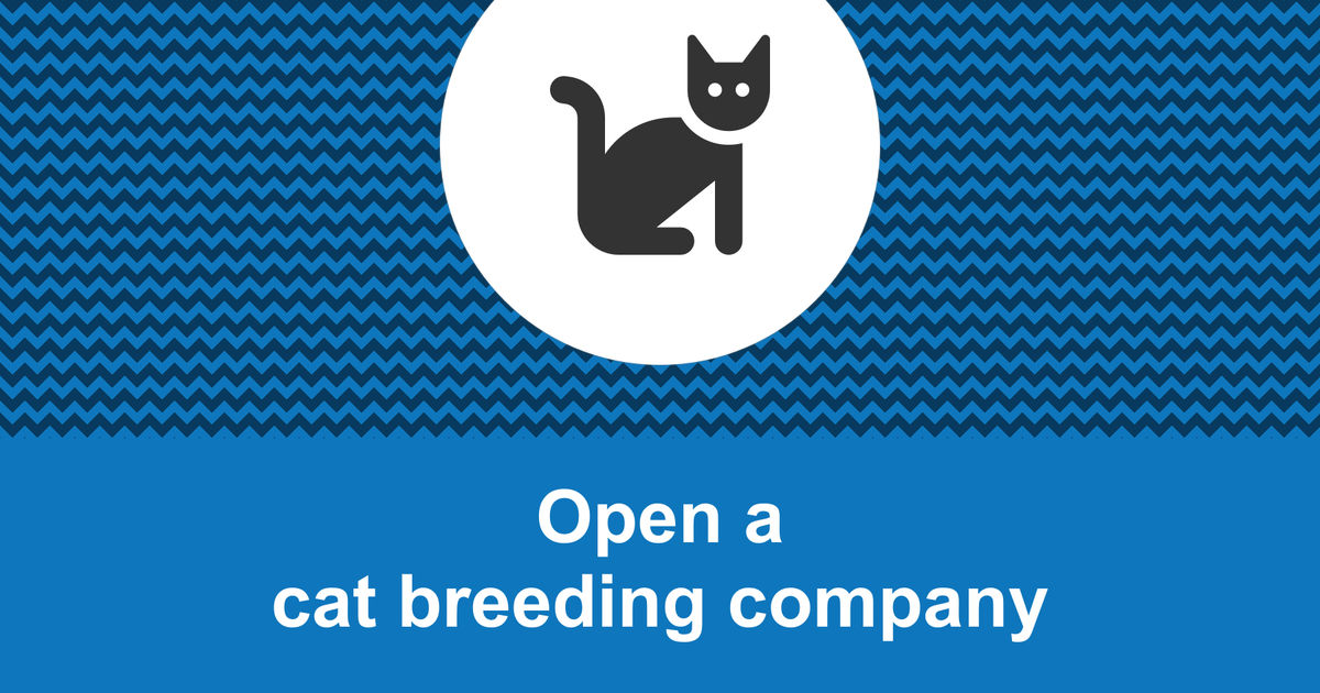 How to open a profitable cat breeding company?