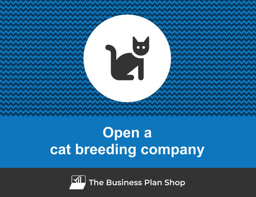 How to write a business plan for a cat breeding company?