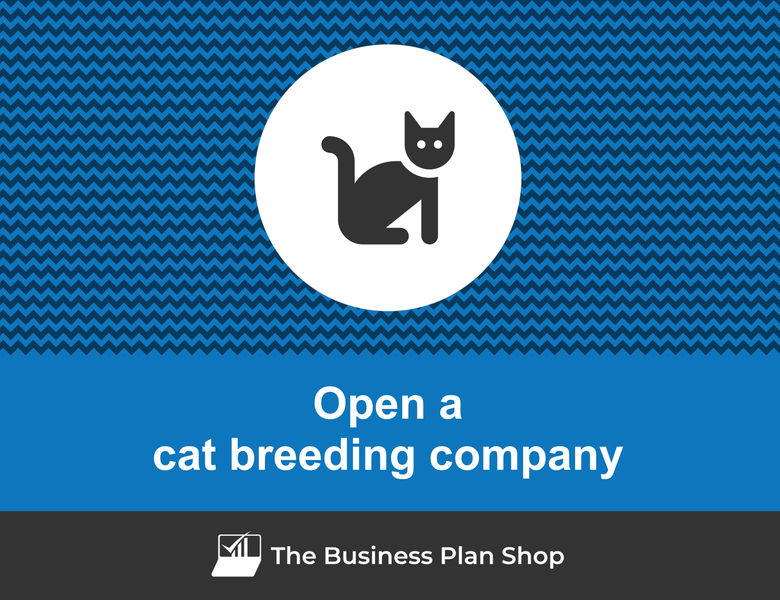 How to write a business plan for a cat breeding company?