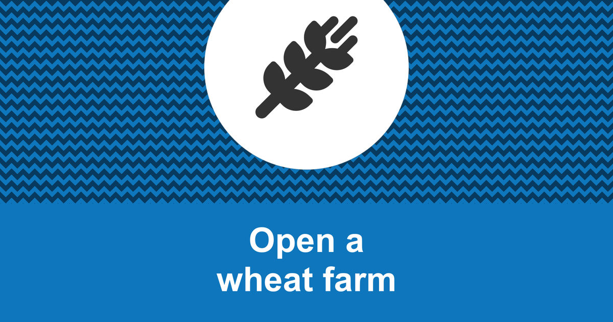 How to open a profitable wheat farm?