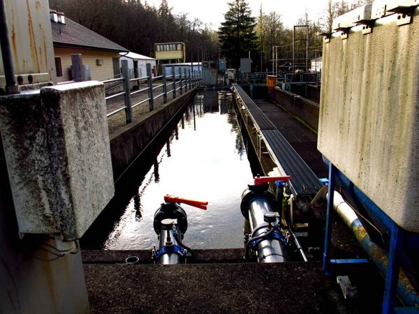 Guides to start a utility company