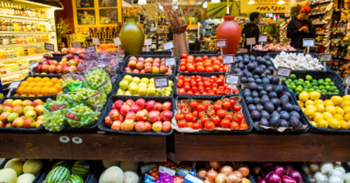 Modèle de business plan de primeur