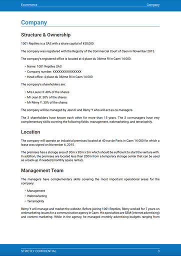 E-commerce Business Plan Template & Forecasting Tool