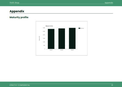 Thrift shop business plan template