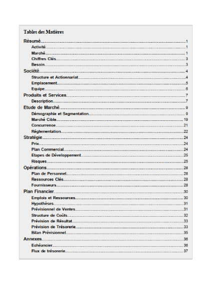 Modèle de business plan de bijouterie