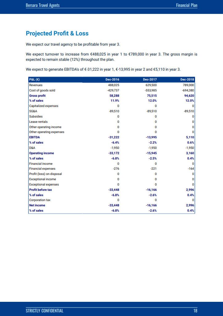 Travel agency business plan template