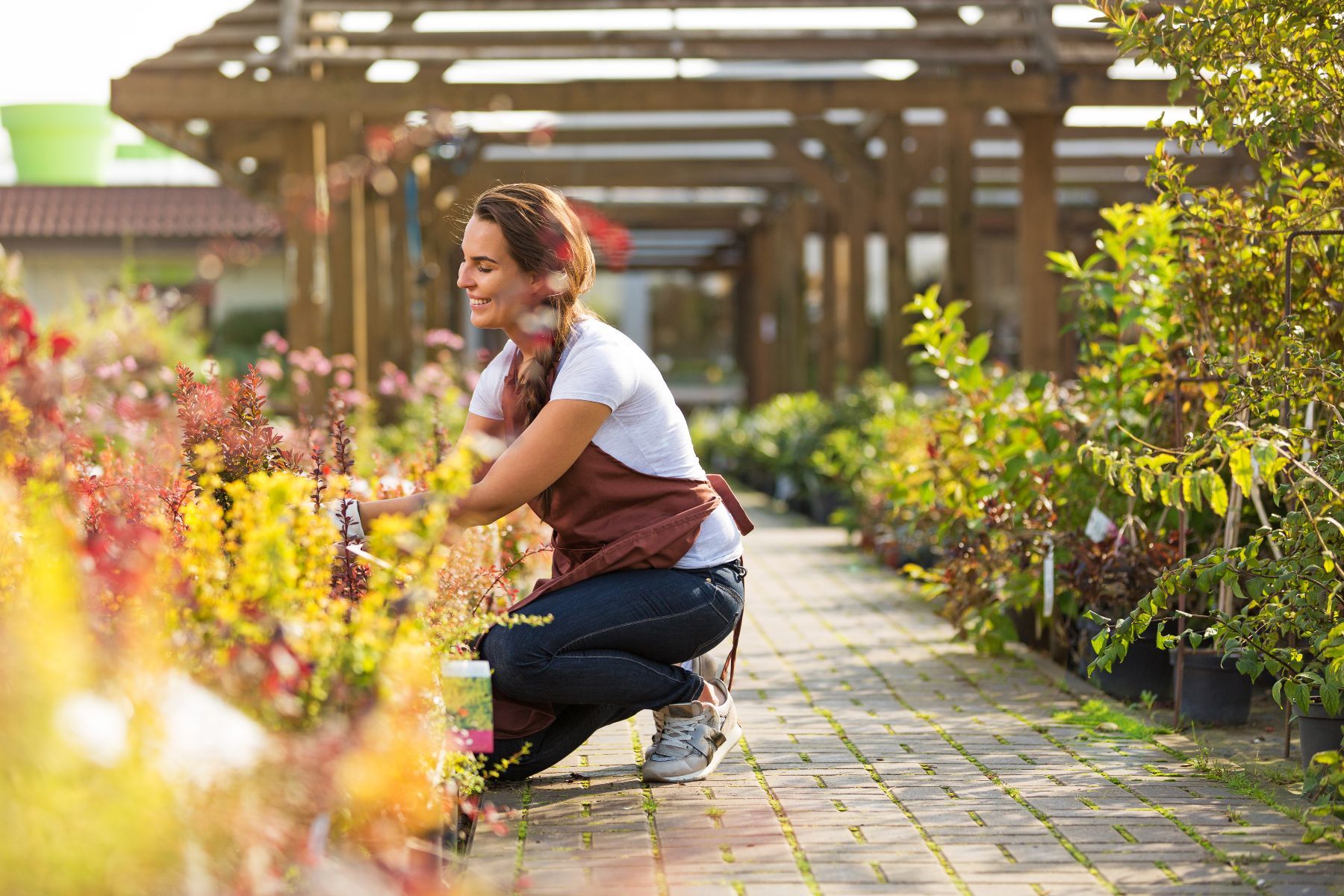 How to write the business plan for a landscaping company