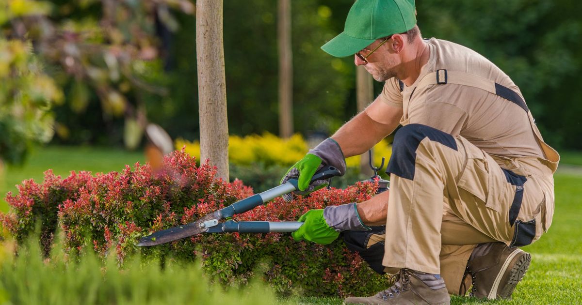 How to write the business plan for a landscaping company
