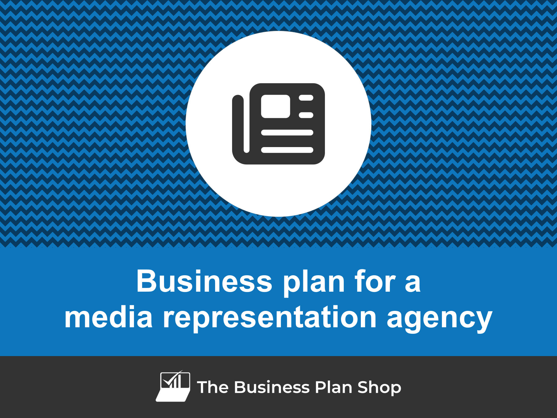How to write a business plan for a media representation agency?