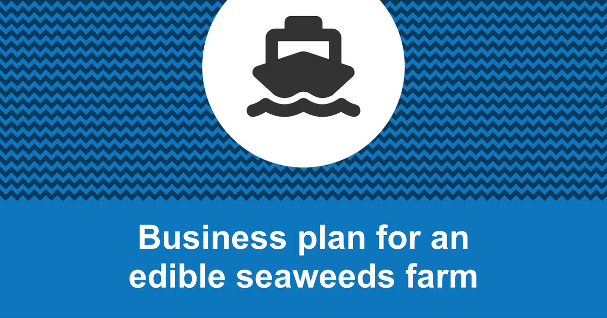 How to write a business plan for an edible seaweed farm?