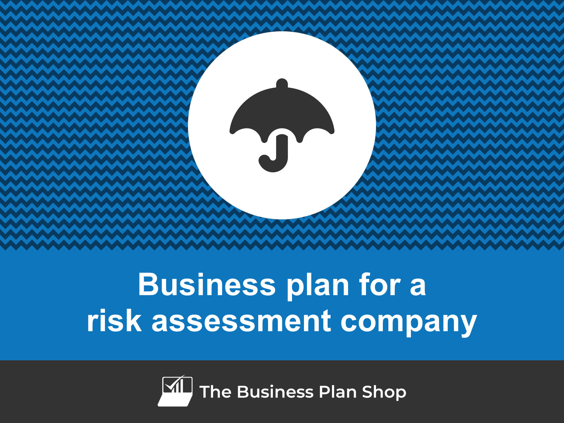 How to write a business plan for a risk assessment company?