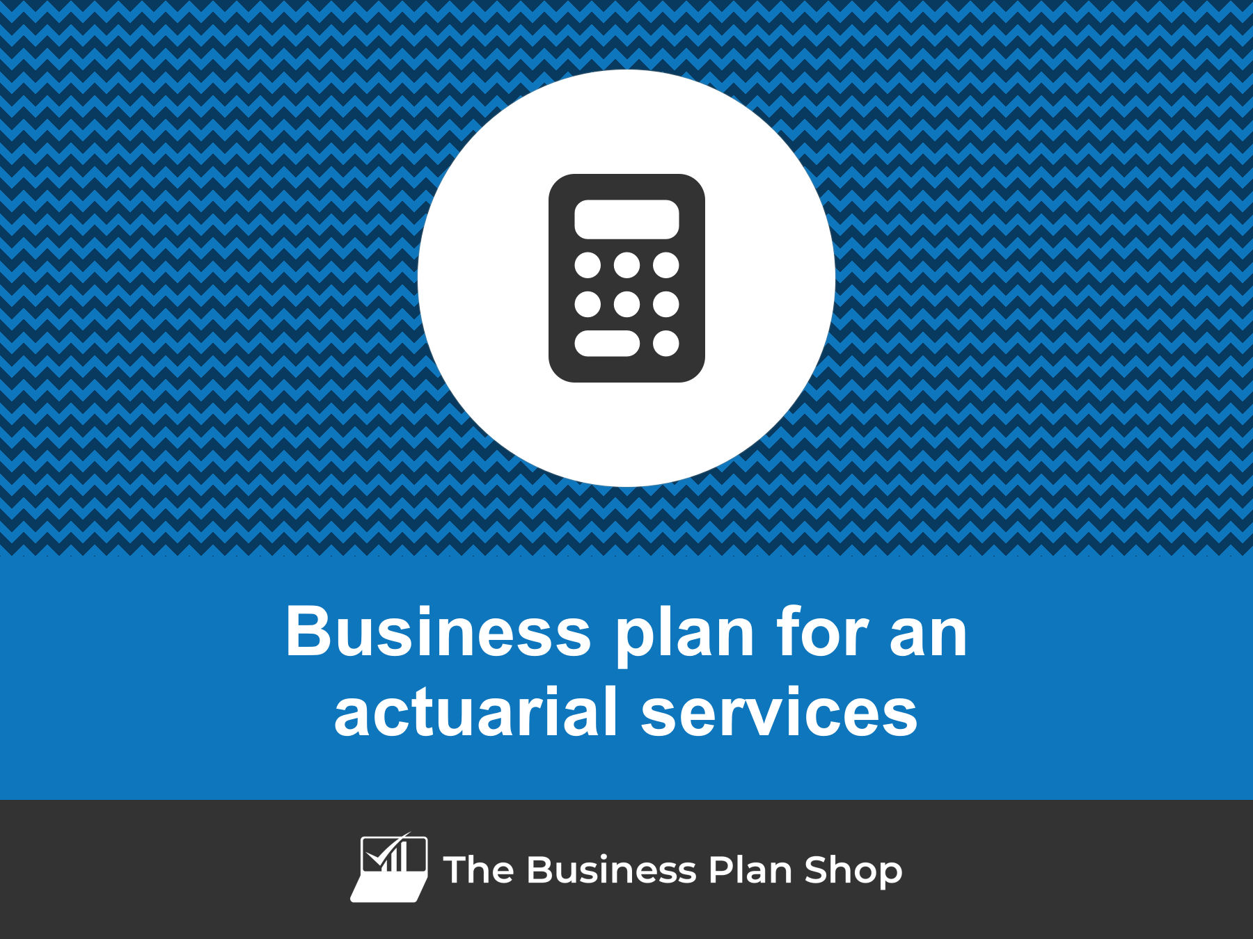 How to write a business plan for an actuarial services firm?