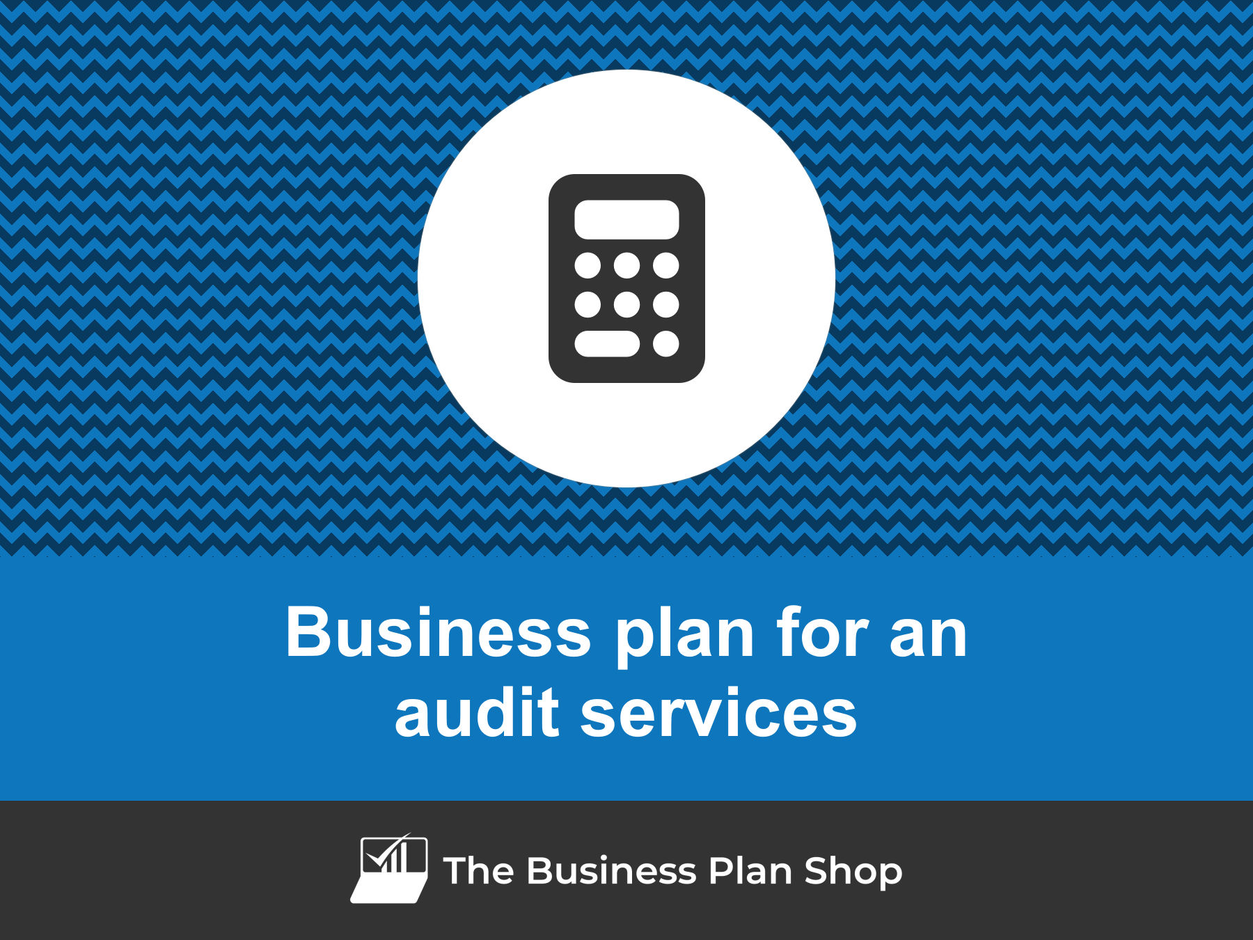 How to write a business plan for an audit practice?