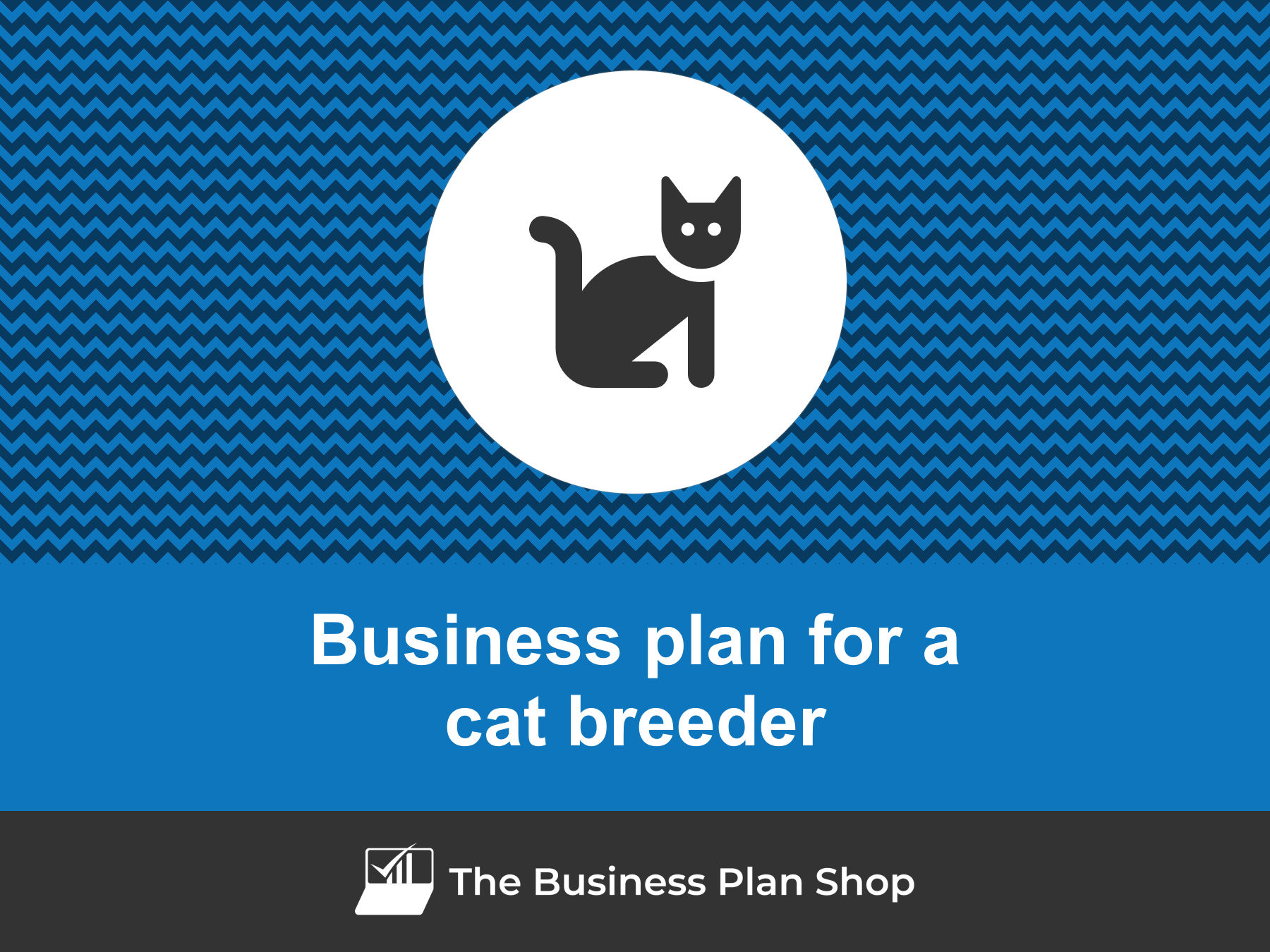 How to write a business plan for a cat breeding company?