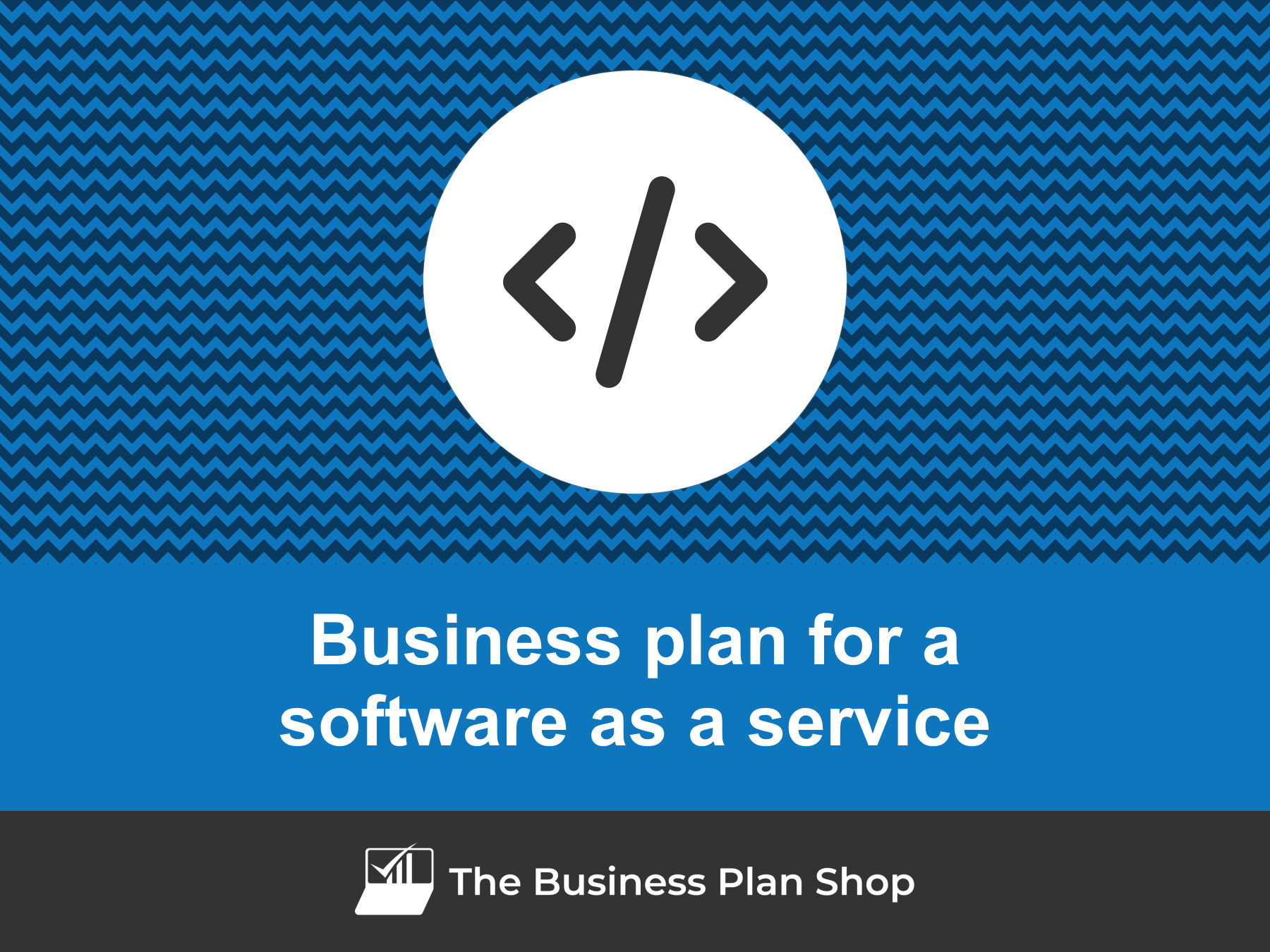 How to write a business plan for a software as a service?