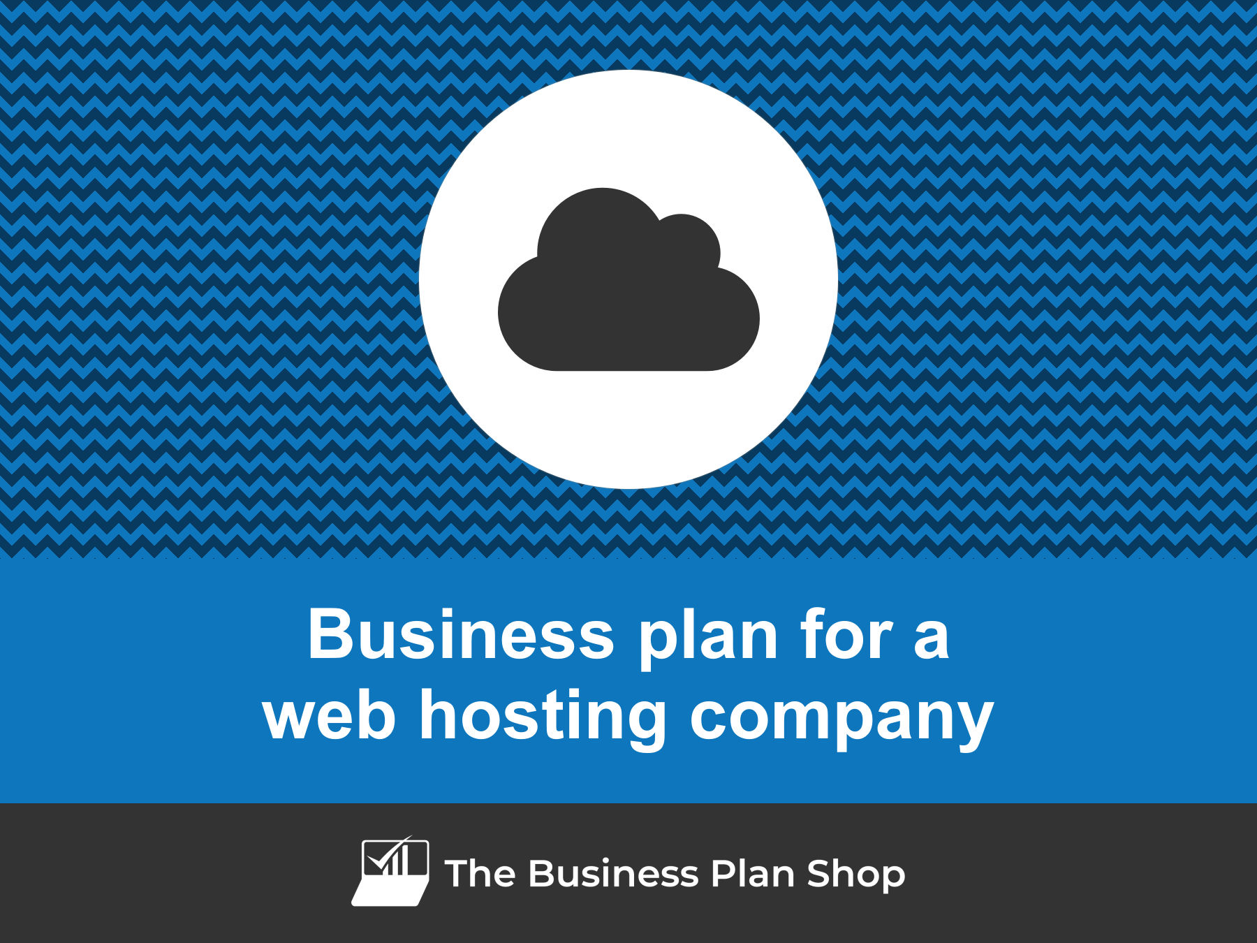 How to write a business plan for a web hosting company?