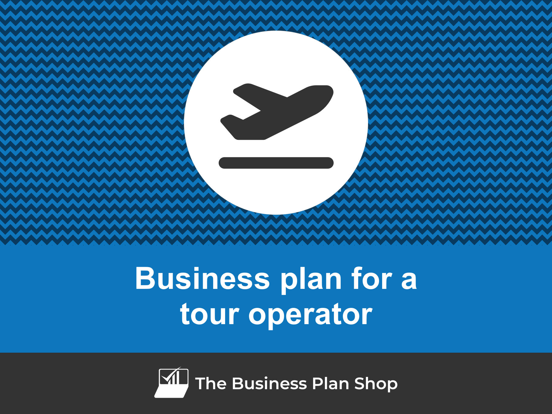 How to write a business plan for a tour operating business?