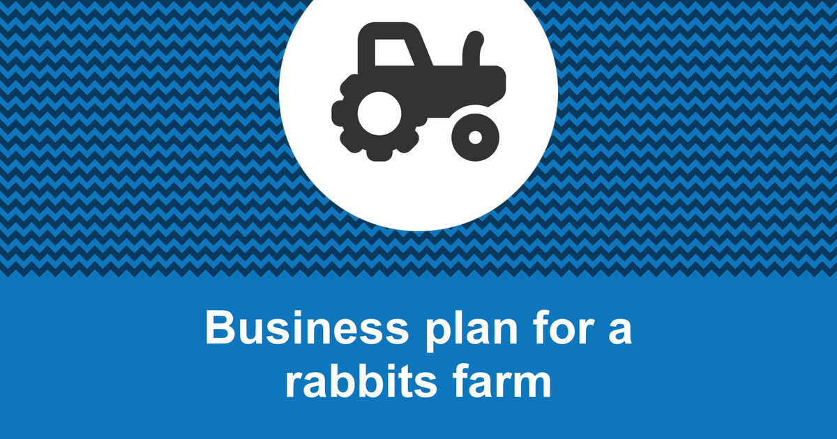 How to write a business plan for a rabbit farm?