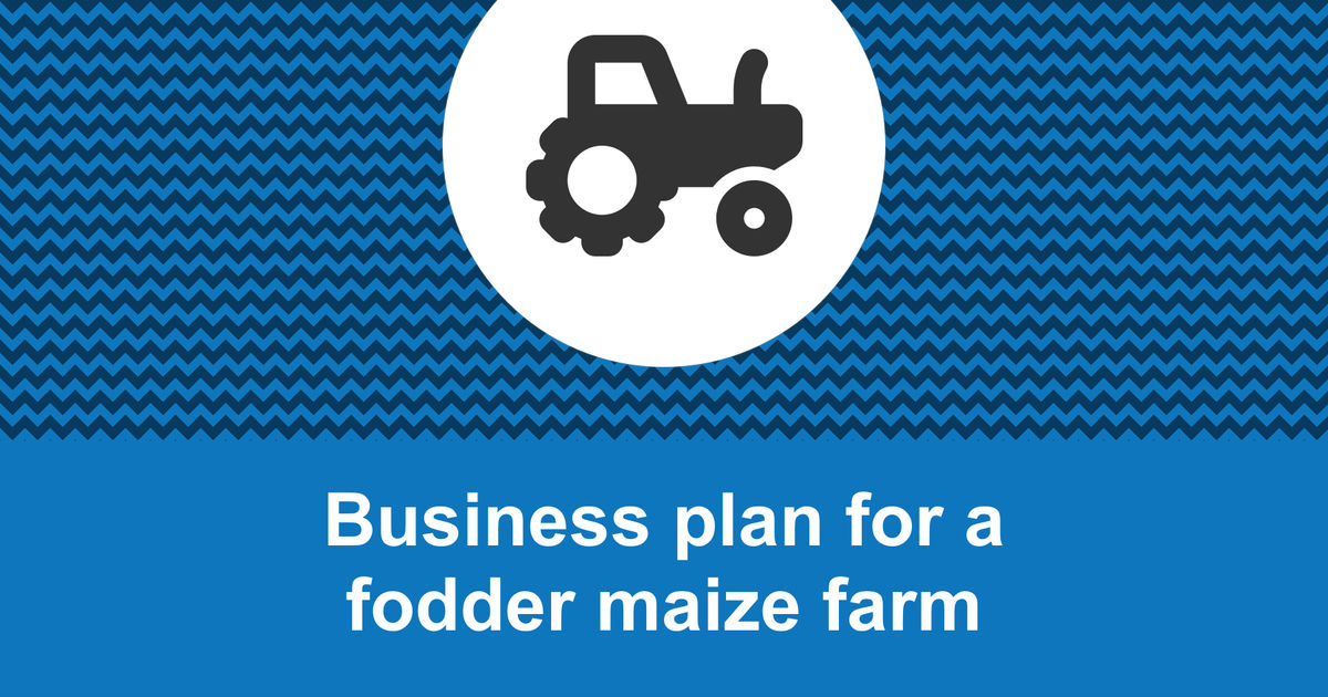How to write a business plan for a fodder maize farm?