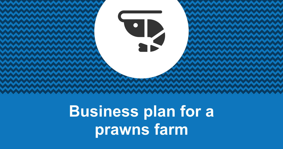 How to write a business plan for a prawn farm?